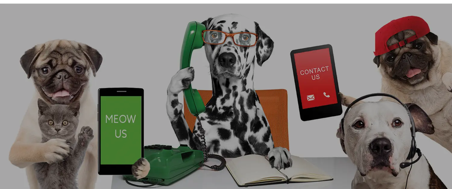 Contact Us - WE Consulting & Benefits Services
